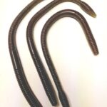 Fishing Supplies - Get Hooked Magic Baits